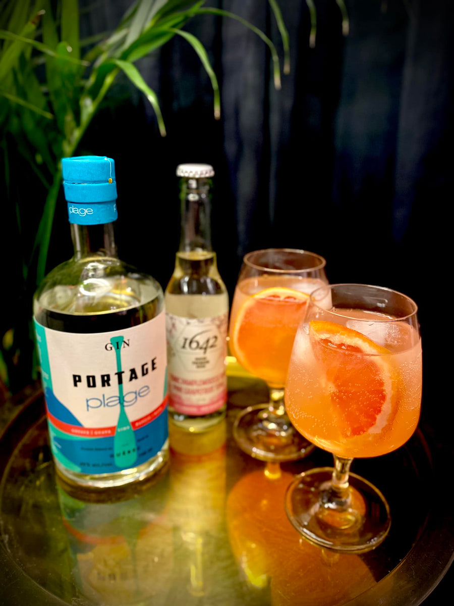 Spring Ginto - 1642 Tonics and Mixers